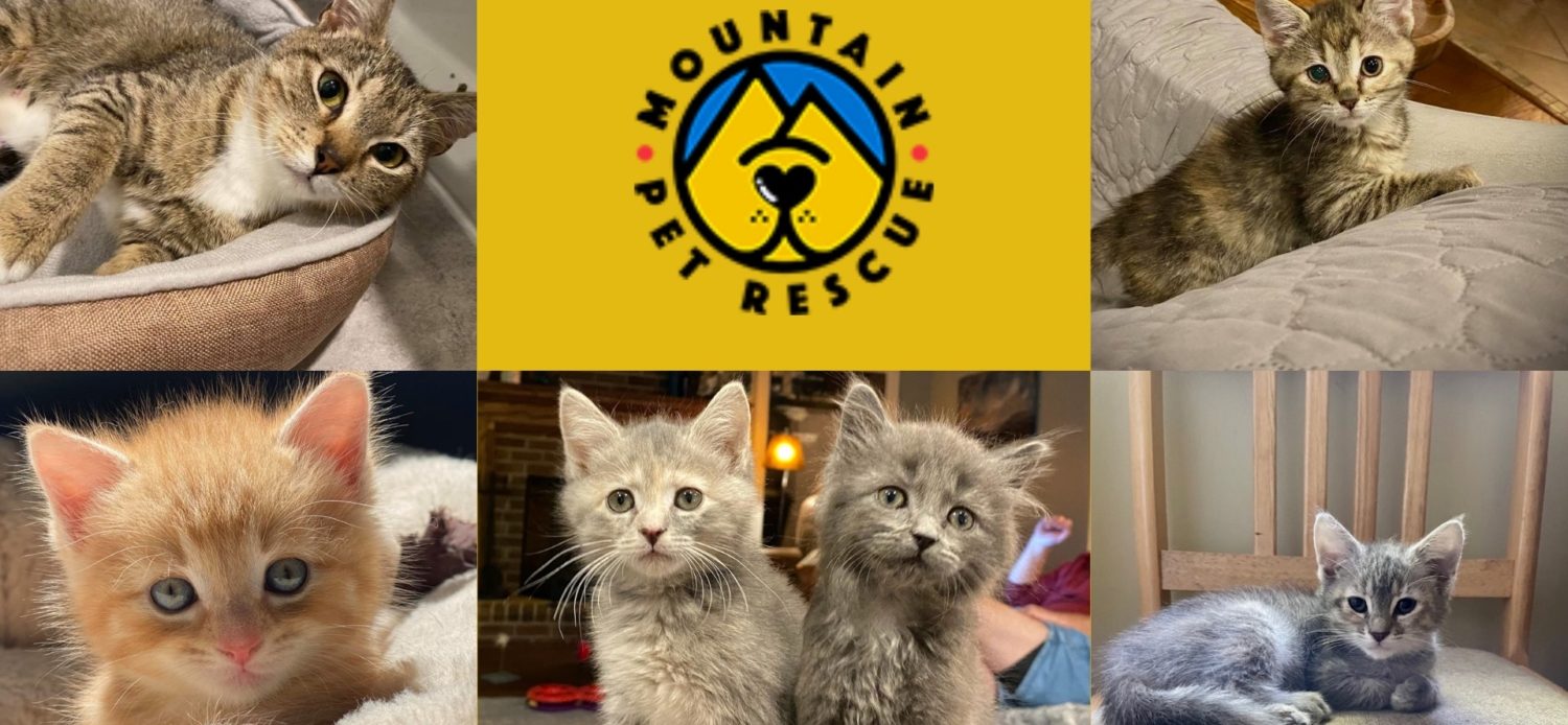 Events from August 27 – August 10 – Mountain Pet Rescue Asheville